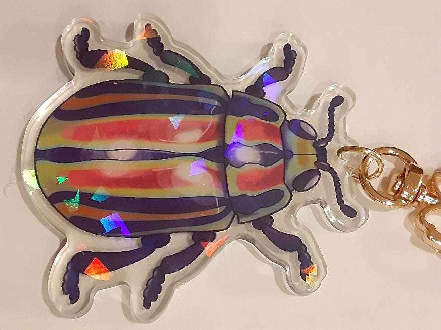 Rainbow Beetle Keychain - Etsy