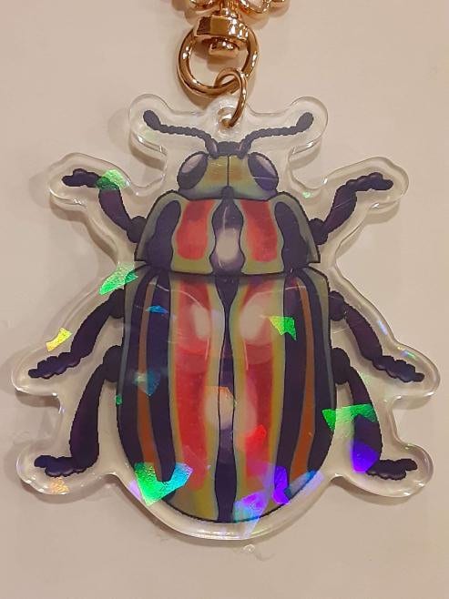Rainbow Beetle Keychain - Etsy