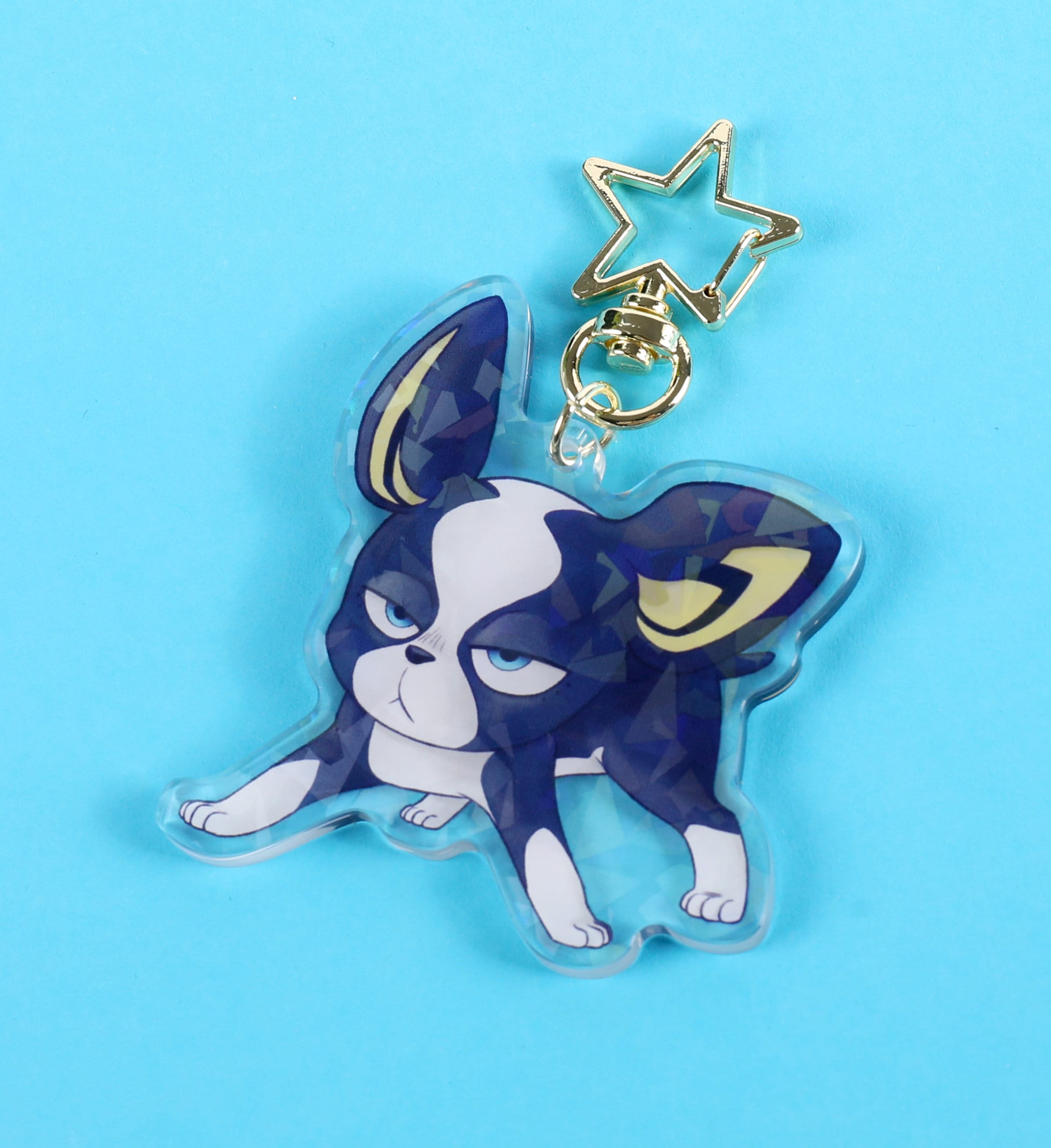 Double-sided Iggy Keychain - Etsy