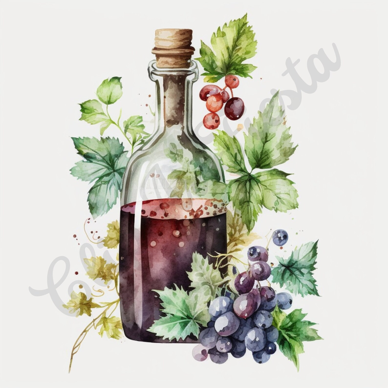 Watercolor Grape Harvest Clip Art, Wine Greenery, Vines Leaves ...
