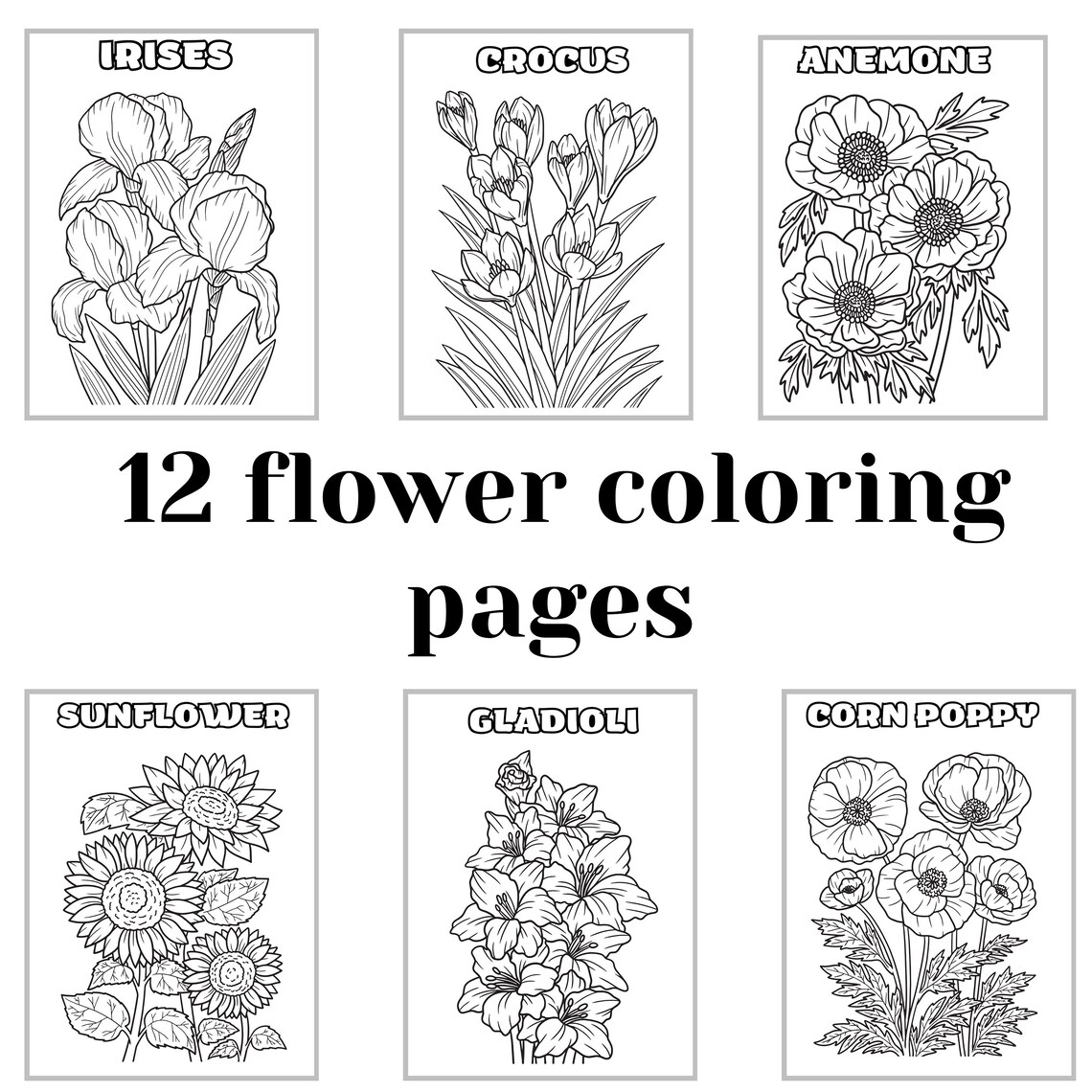 Flower Coloring Pages Printables | Floral Coloring Sheets | Adult and ...