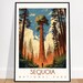 Sequoia National Park Travel Poster California Vintage USA Wall Art ...