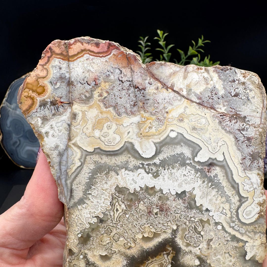 Mexican Crazy Lace Agate Slab - Large and Intricate - Etsy
