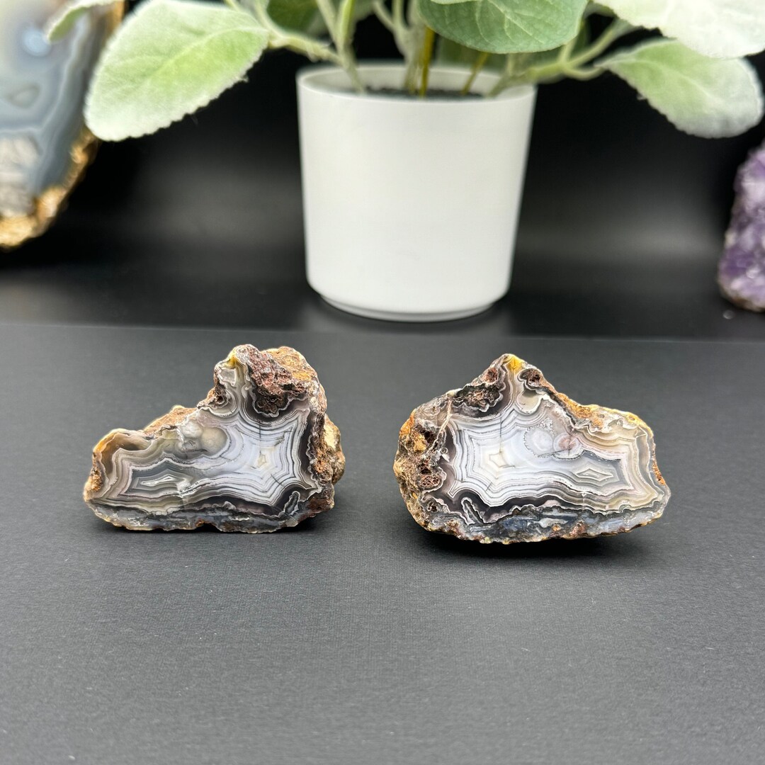Mexican Calandria Agate Pair Pretty - Etsy
