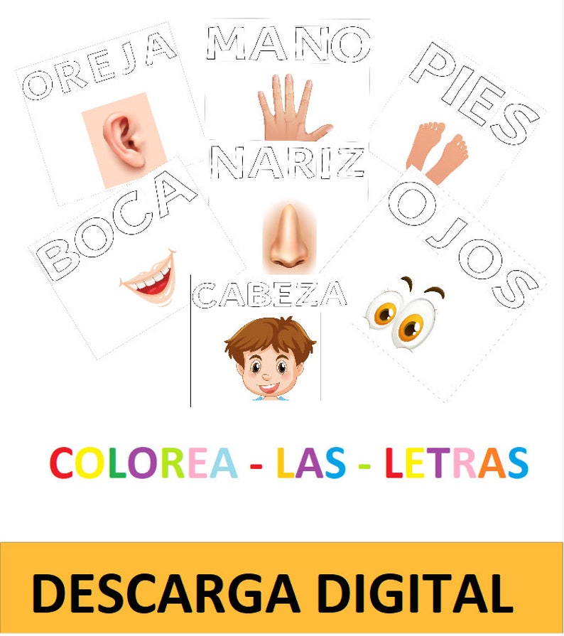 Bilingual Toddler Coloring Pages, Learn Spanish Coloring Book, Digital ...