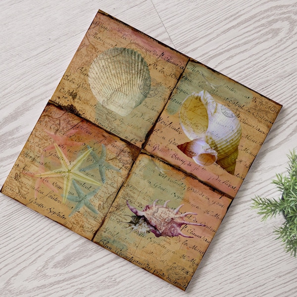 Seashell Coasters - Etsy