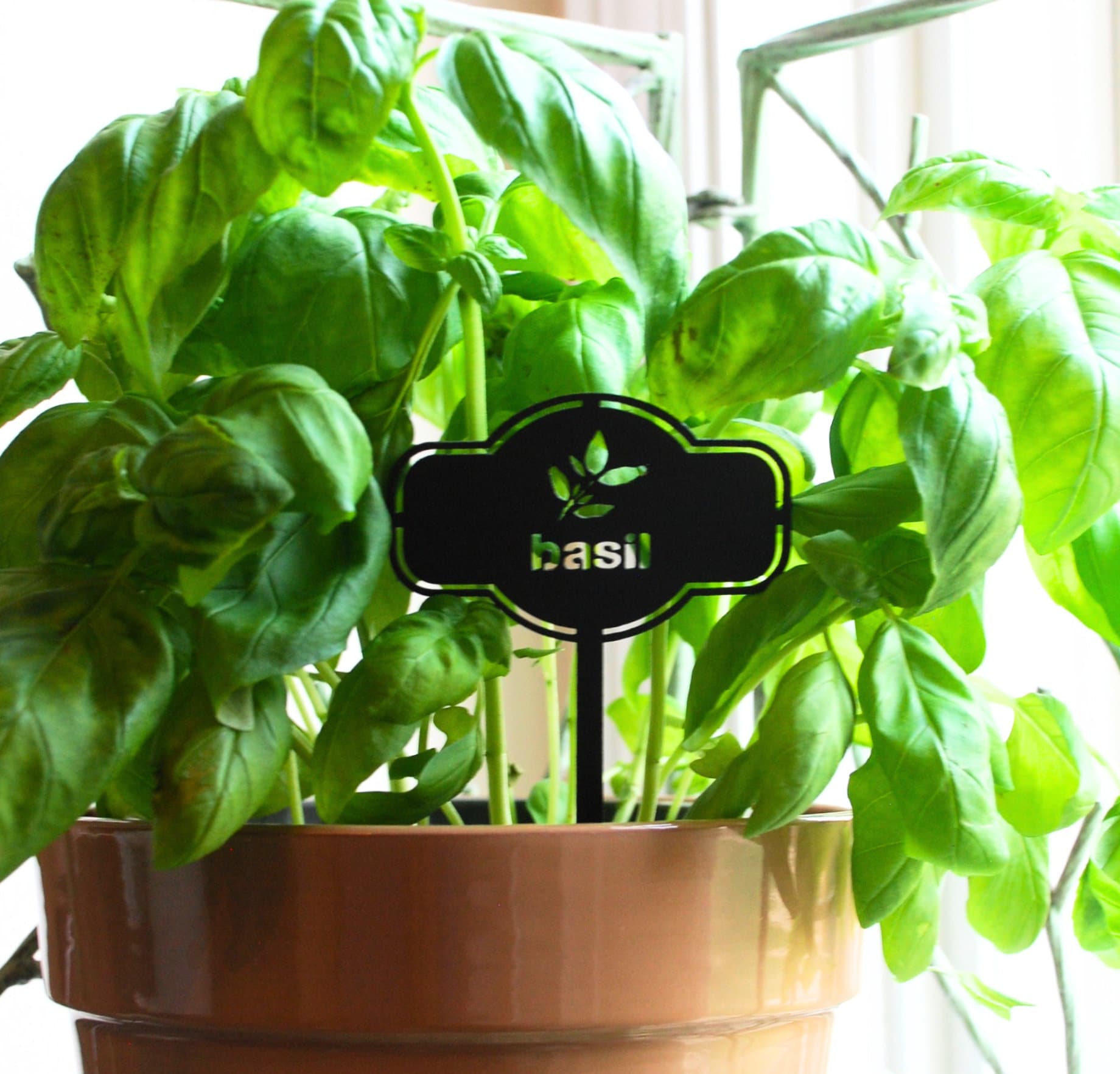 6 Piece Laser Cut Metal Herb Garden Markers. Reusable Herb Sign, Sturdy ...