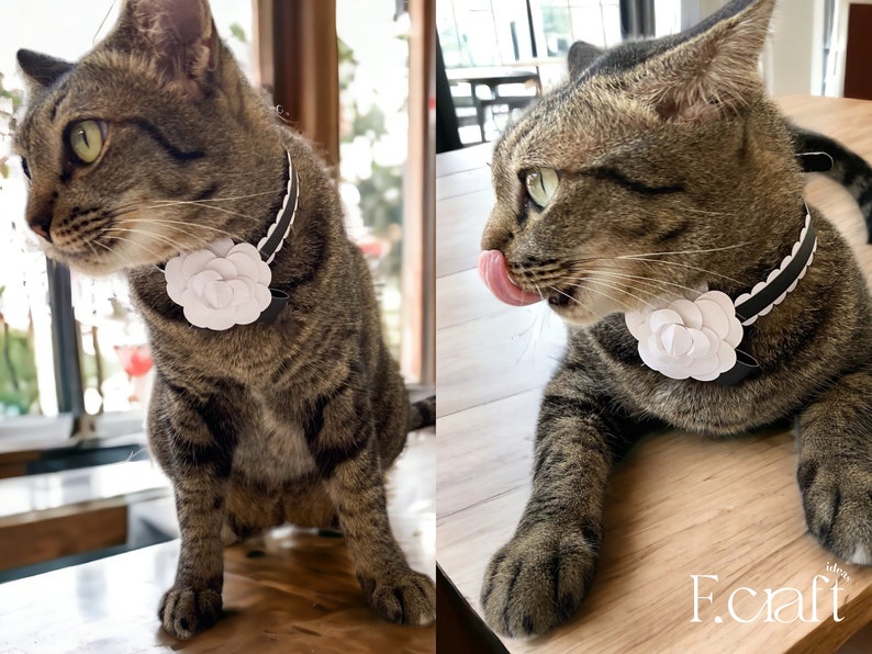 DIY Papercraft Camellia Pet Collar, Cat, Dog Collar Template (PDF, SVG ...
