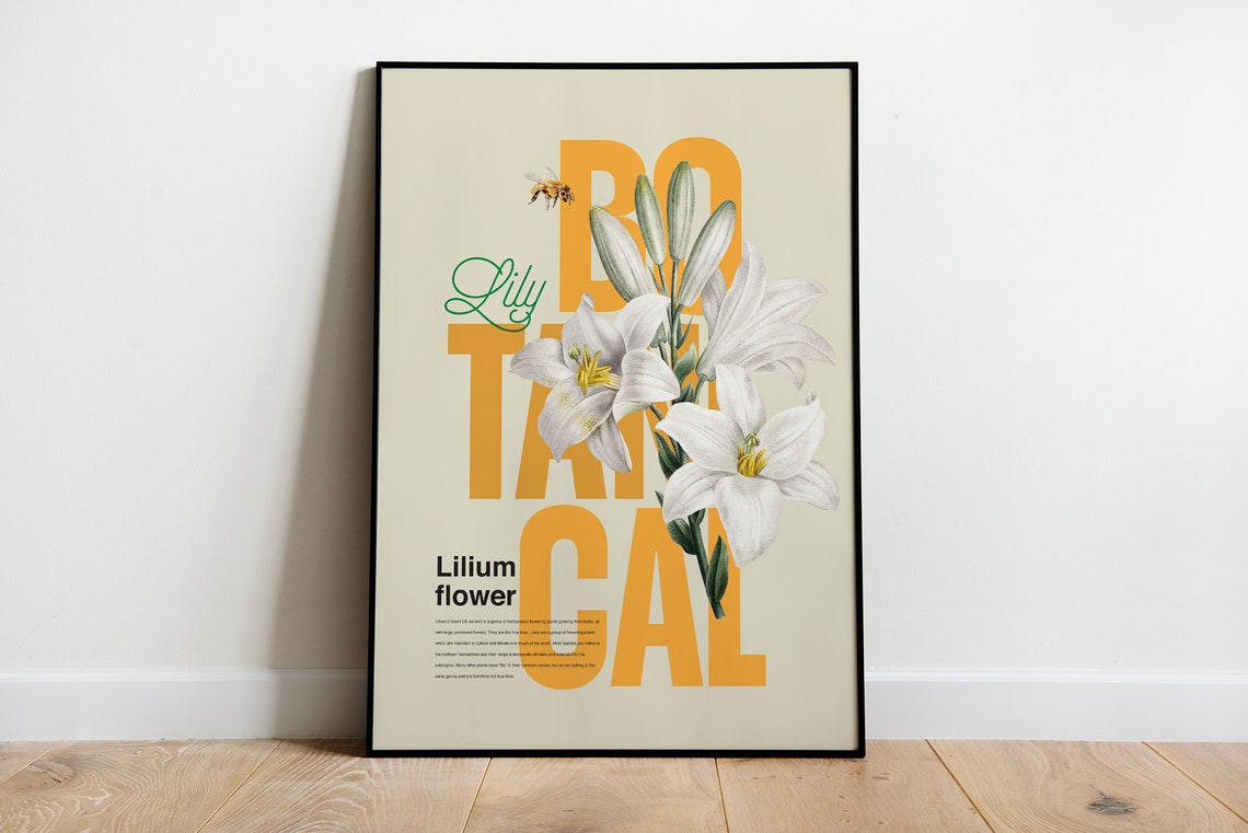 Vintage Lilium Lily Botanical Poster typography Art Print - Etsy
