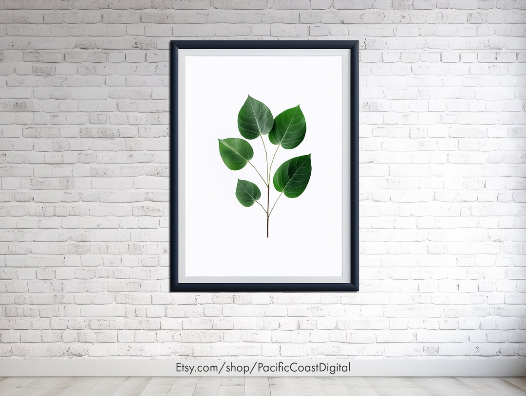 Ficus Rumphii Leaf. Printable Wall Art. Photorealistic - Etsy