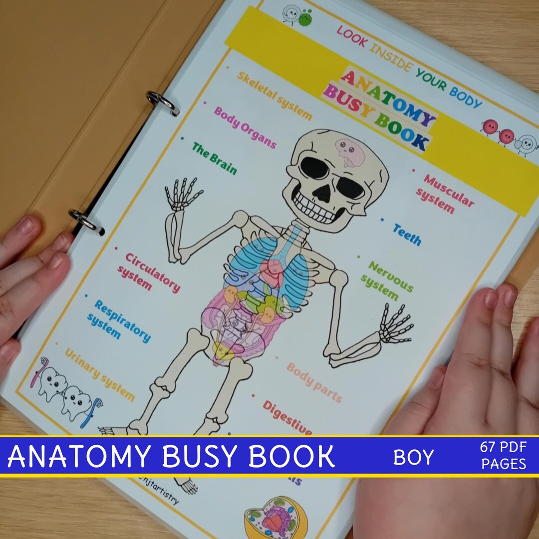 Human Anatomy Busy Book BOY Printable Preschool Worksheets Home School ...