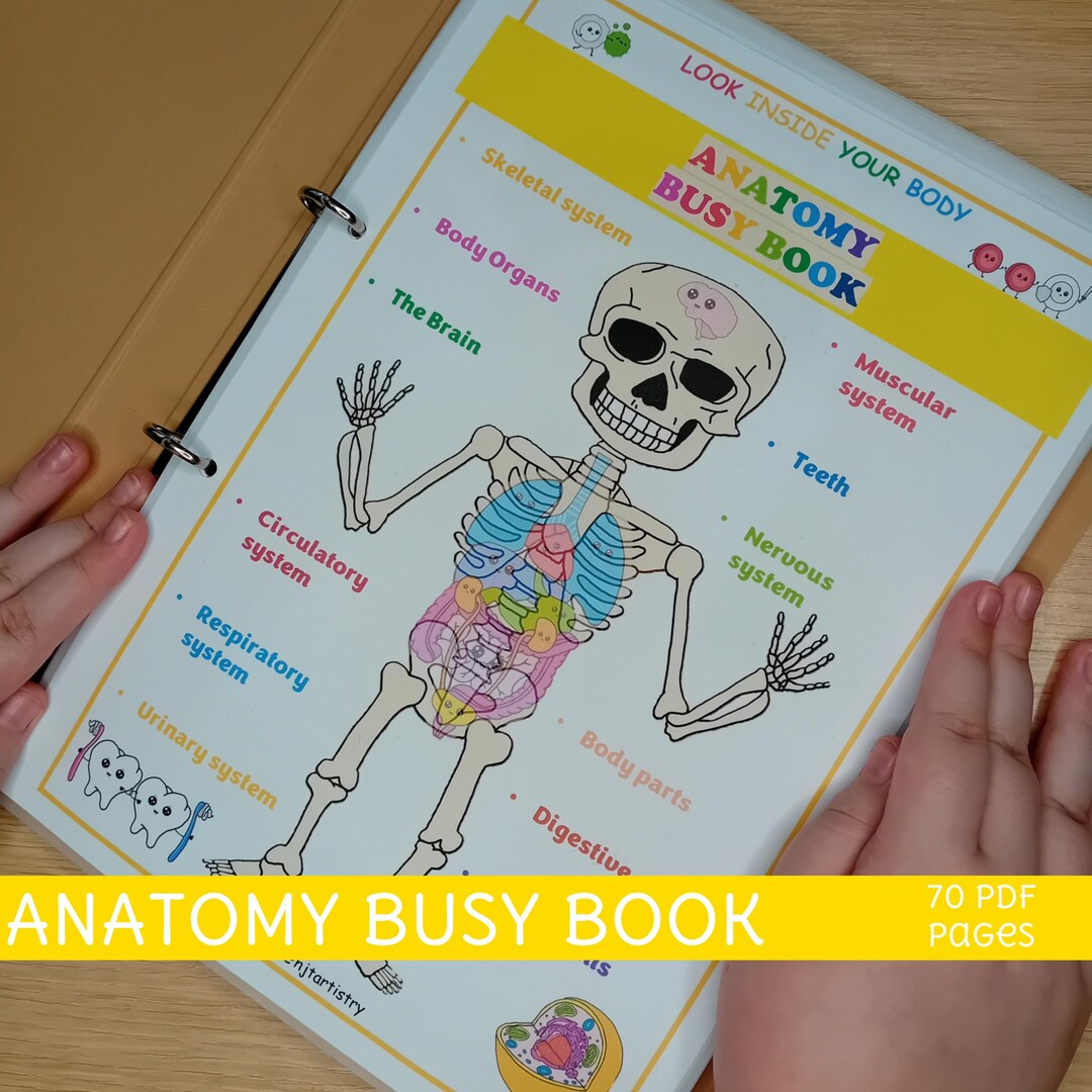 Human Anatomy Busy Book Printable Preschool Worksheets Home School ...