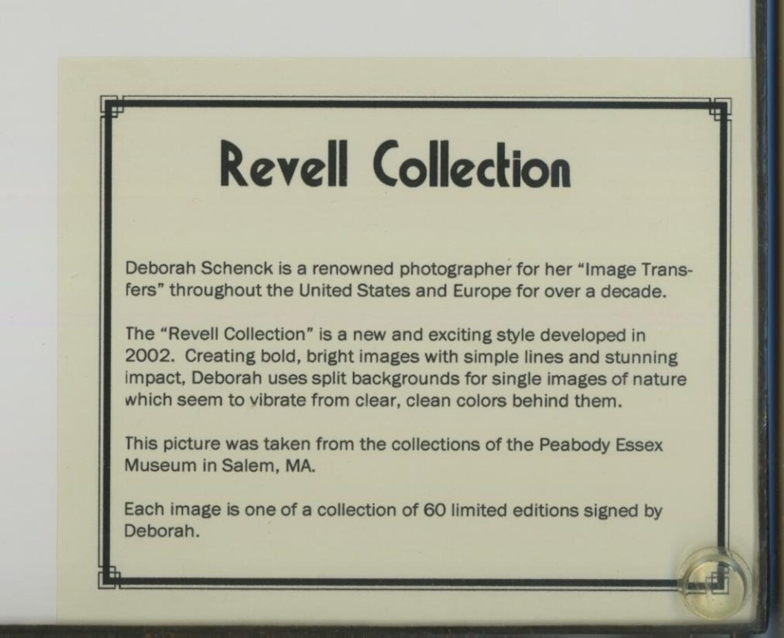 Print of Photograph Artisan Studio Heavy Glass Soldered Edges Foo Dogs ...