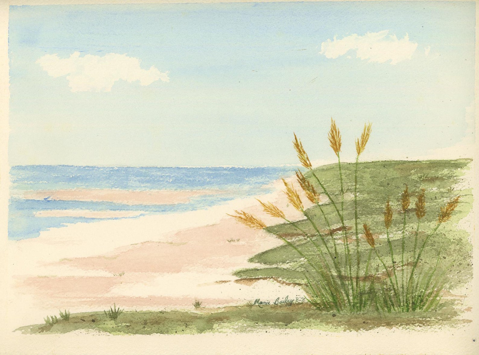 Vintage 1970's Nautical Ocean Beach Shore Sand Sea Sand Dunes Sea Grass ...