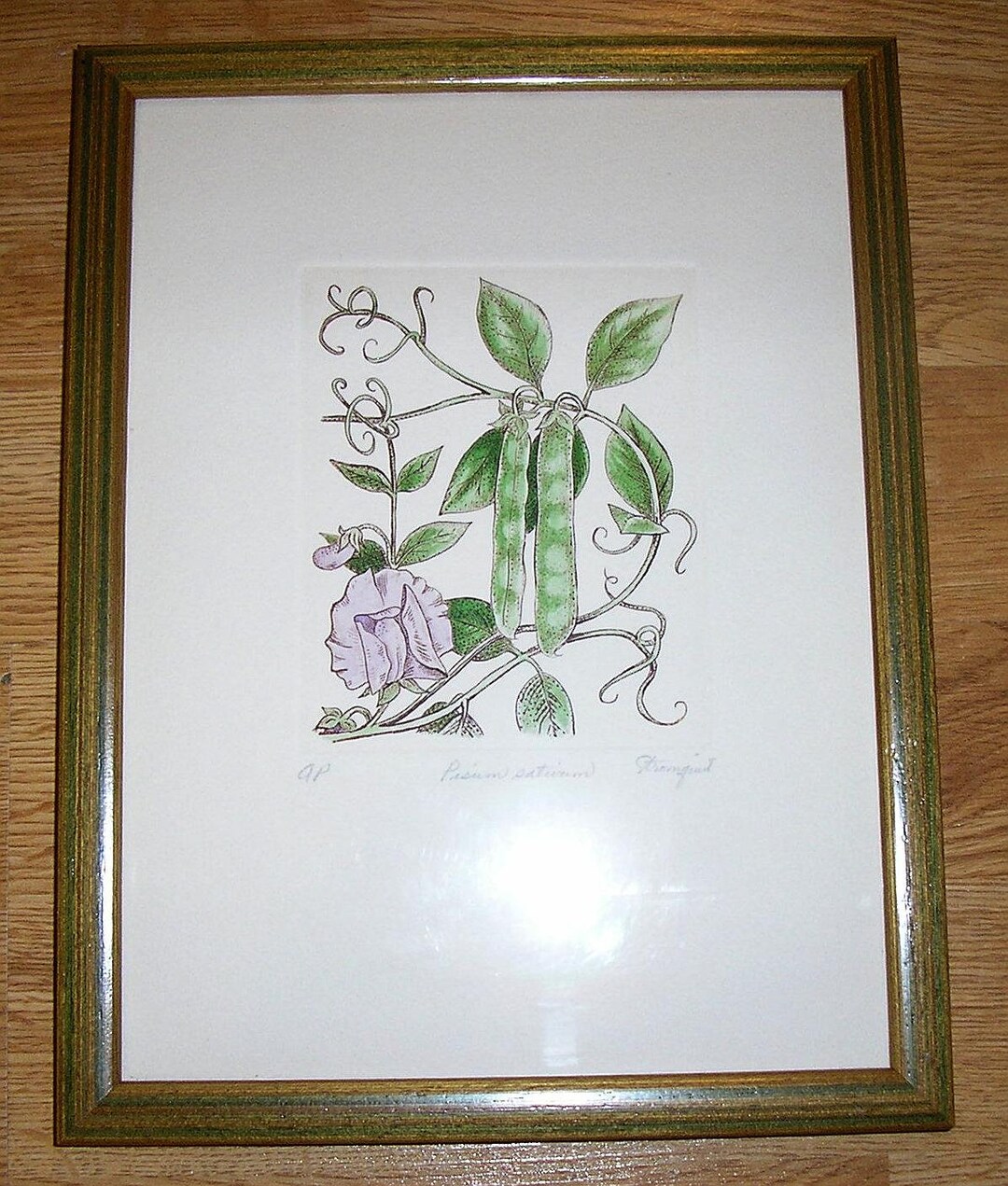 Vintage Original Etching Botanical Horticulture Peas Pea Pods Flowers ...