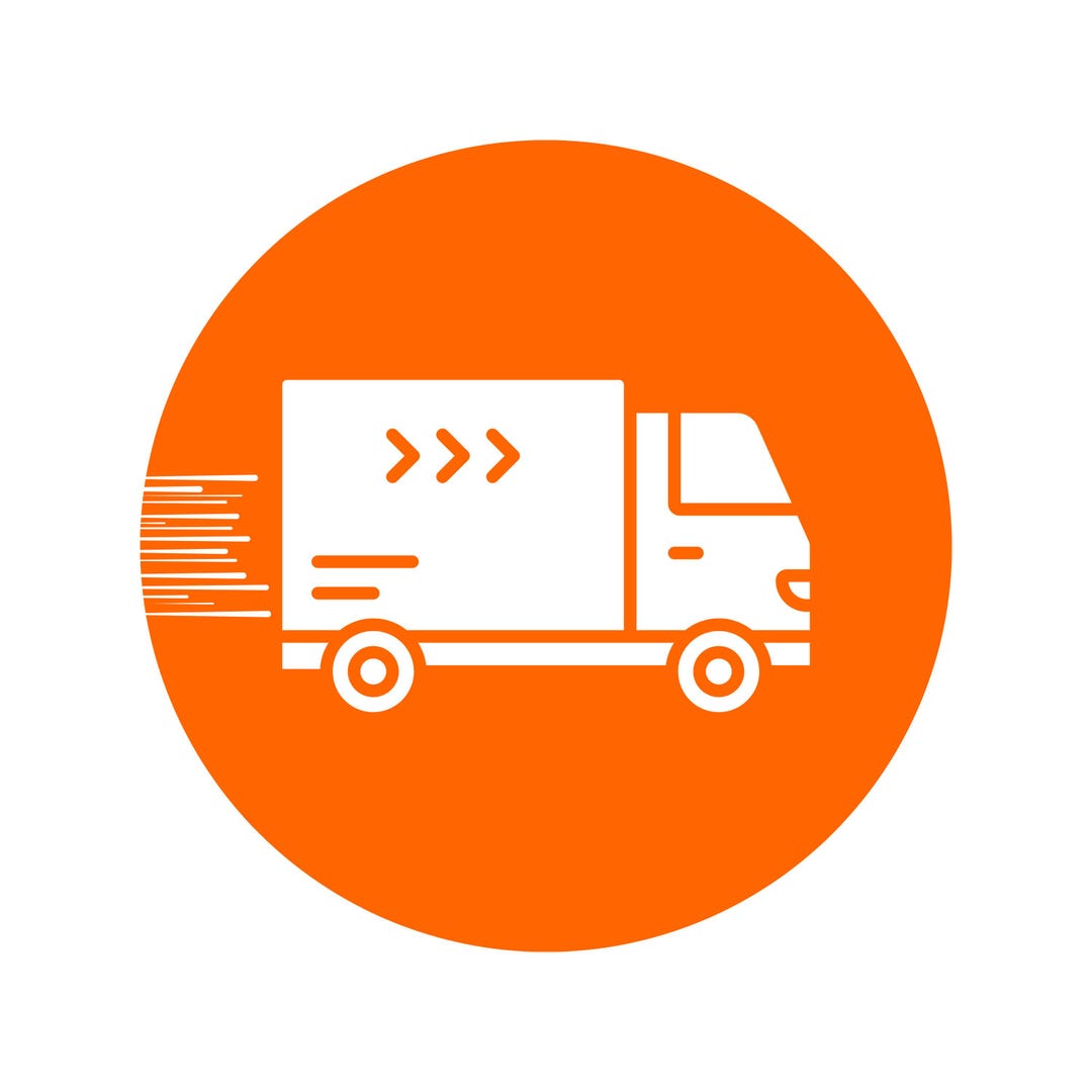 EXPEDITED SHIPPING, Dink Life Quick Ship, Express Delivery - Etsy
