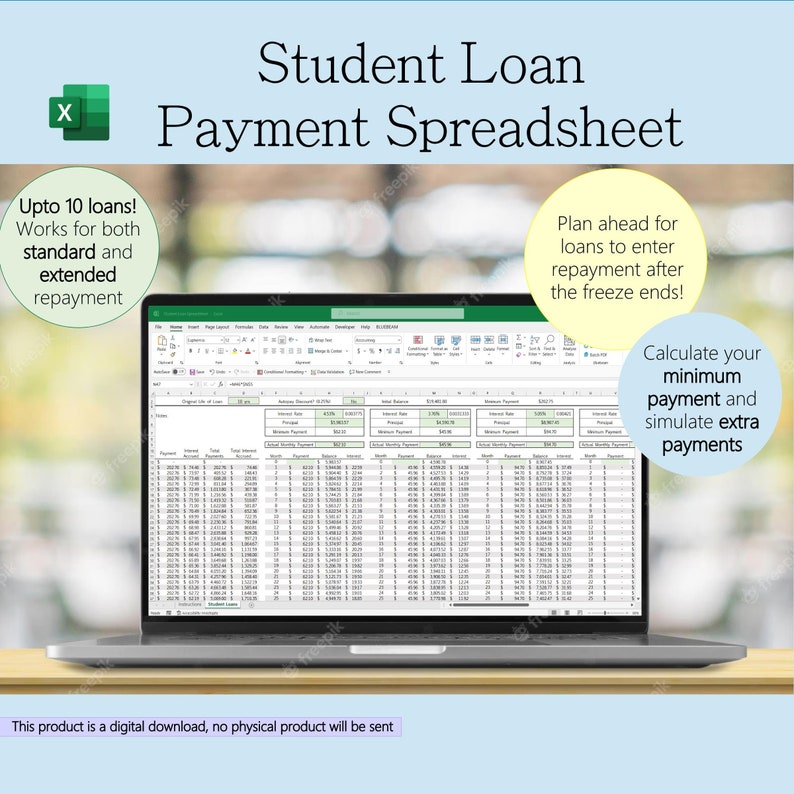 Student Loan Payment Spreadsheet - Etsy