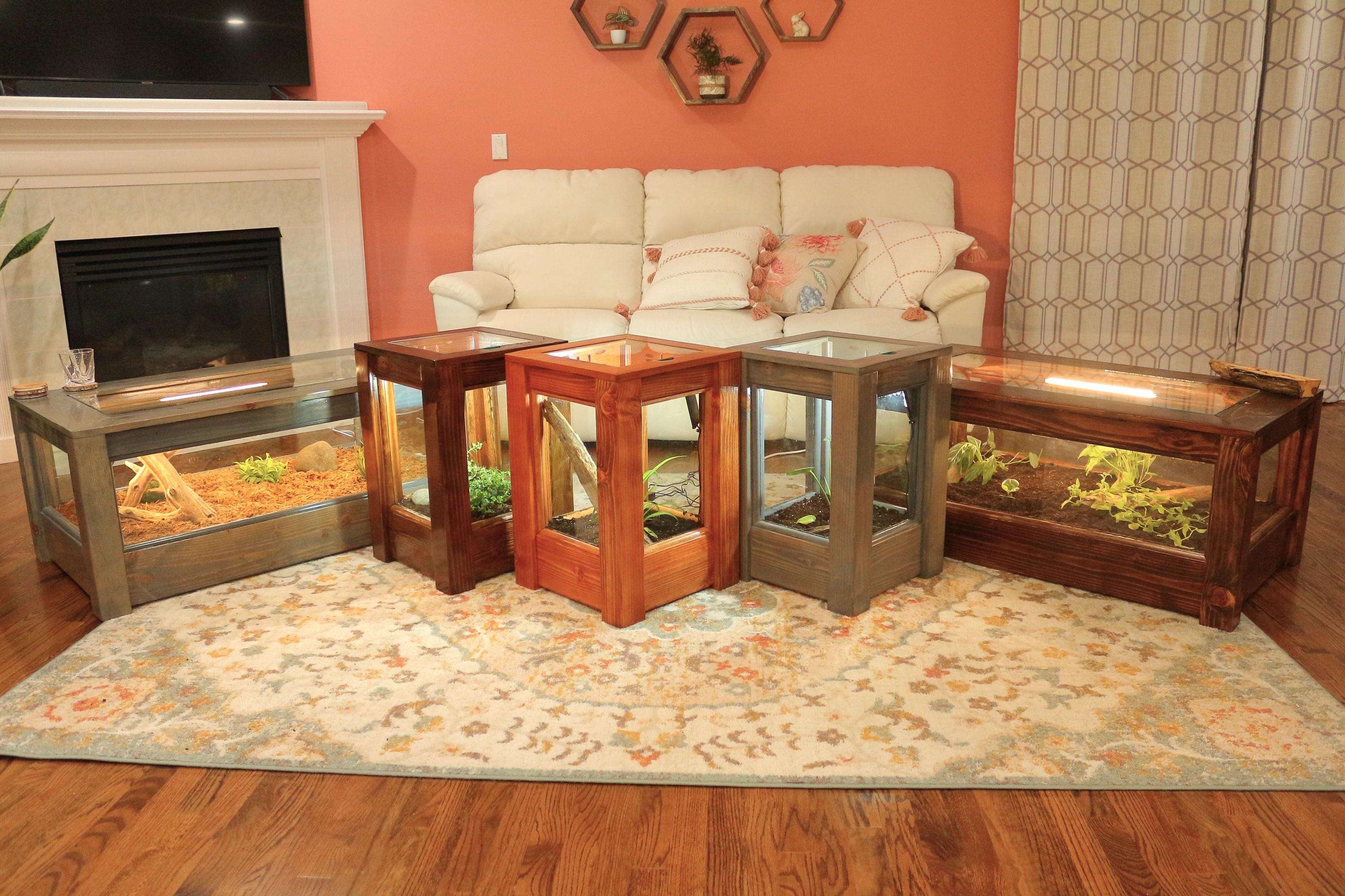 Terrarium End Table Display - Etsy