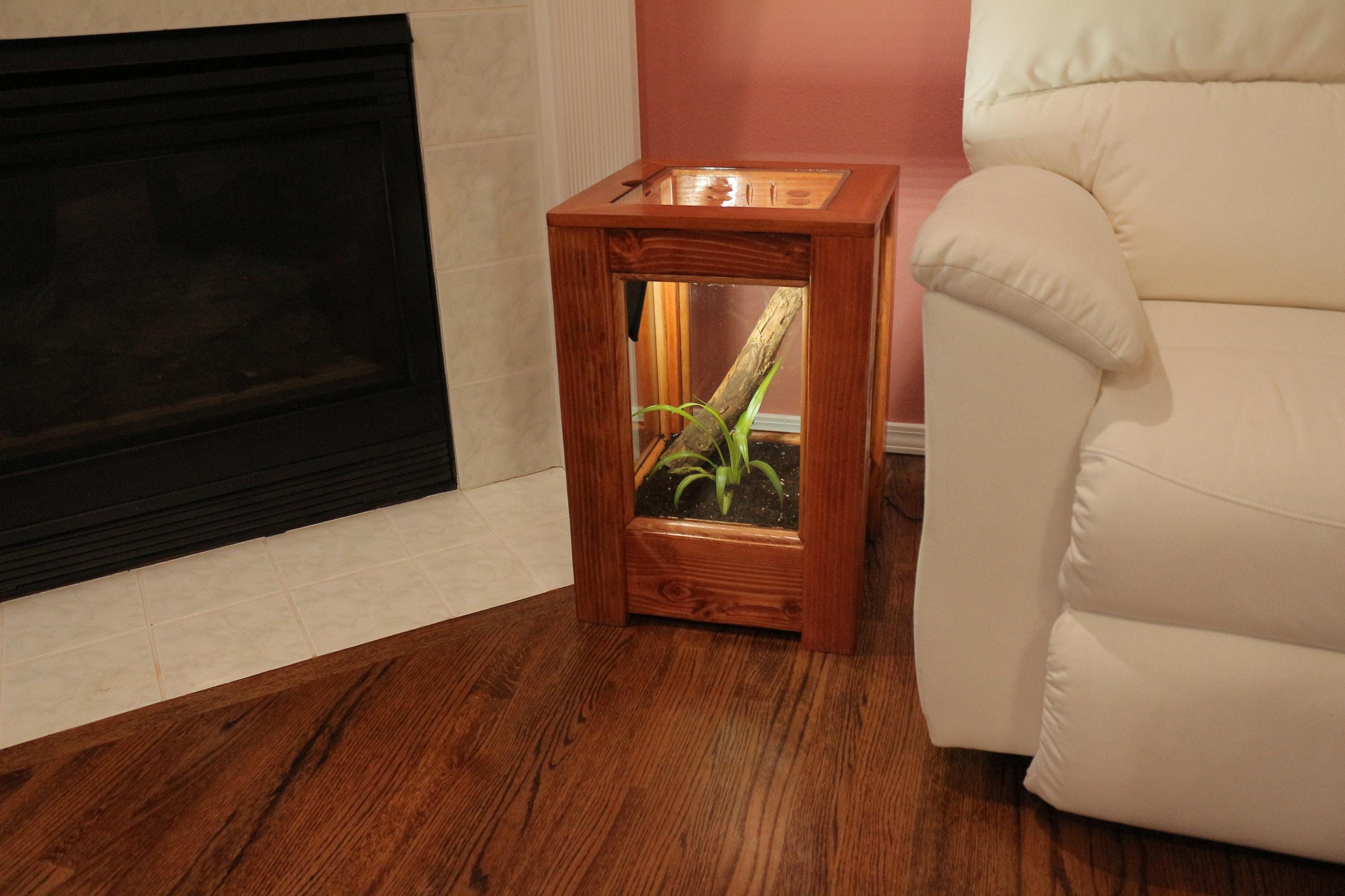 Terrarium End Table Display - Etsy