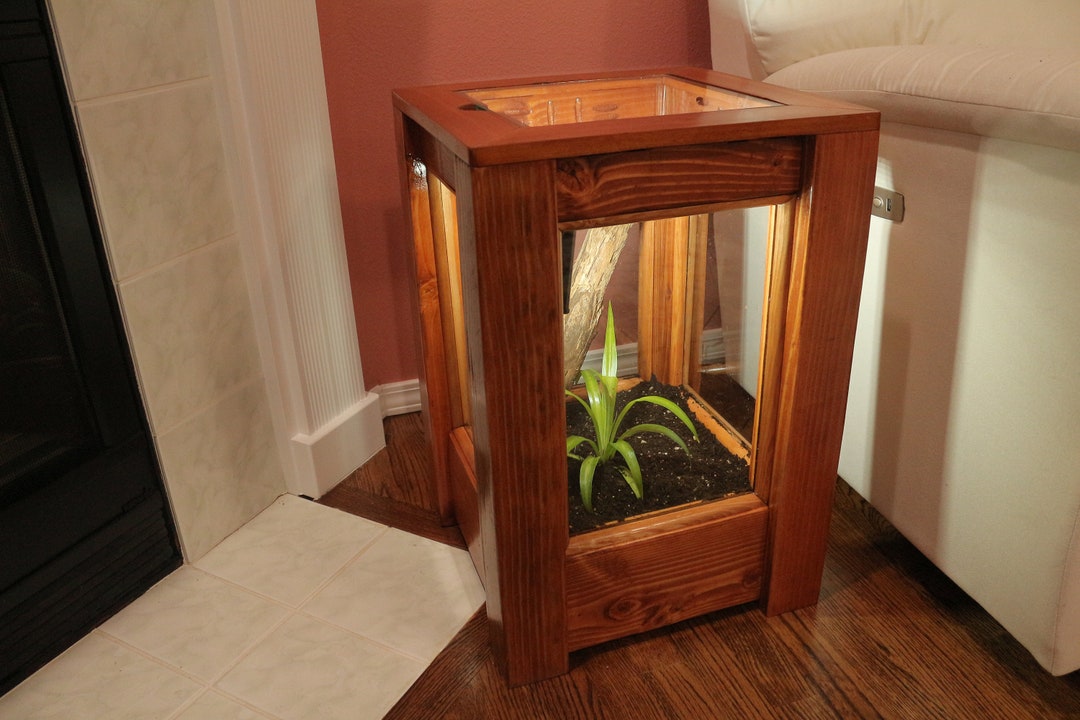 Terrarium End Table - Etsy