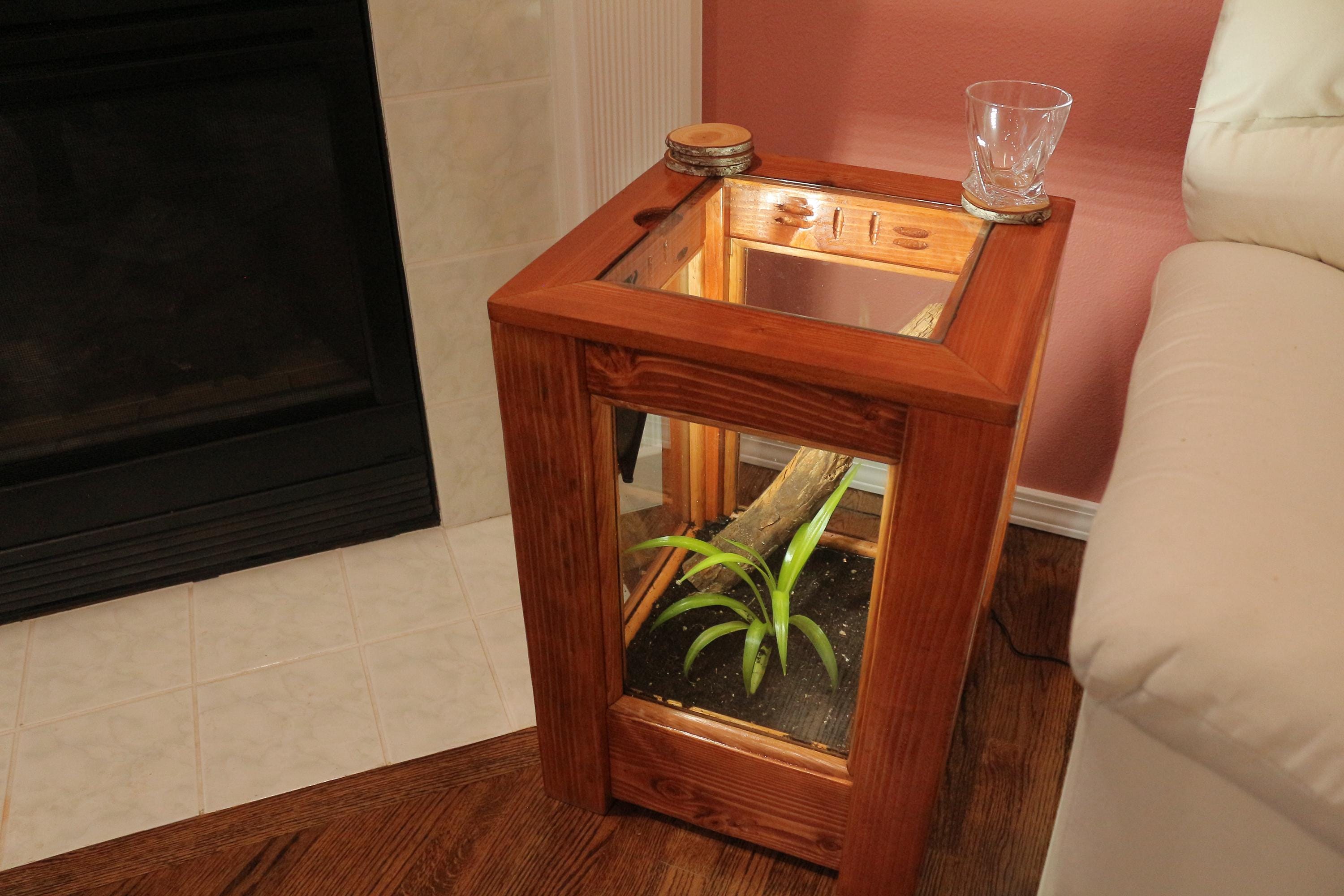Terrarium End Table Display - Etsy