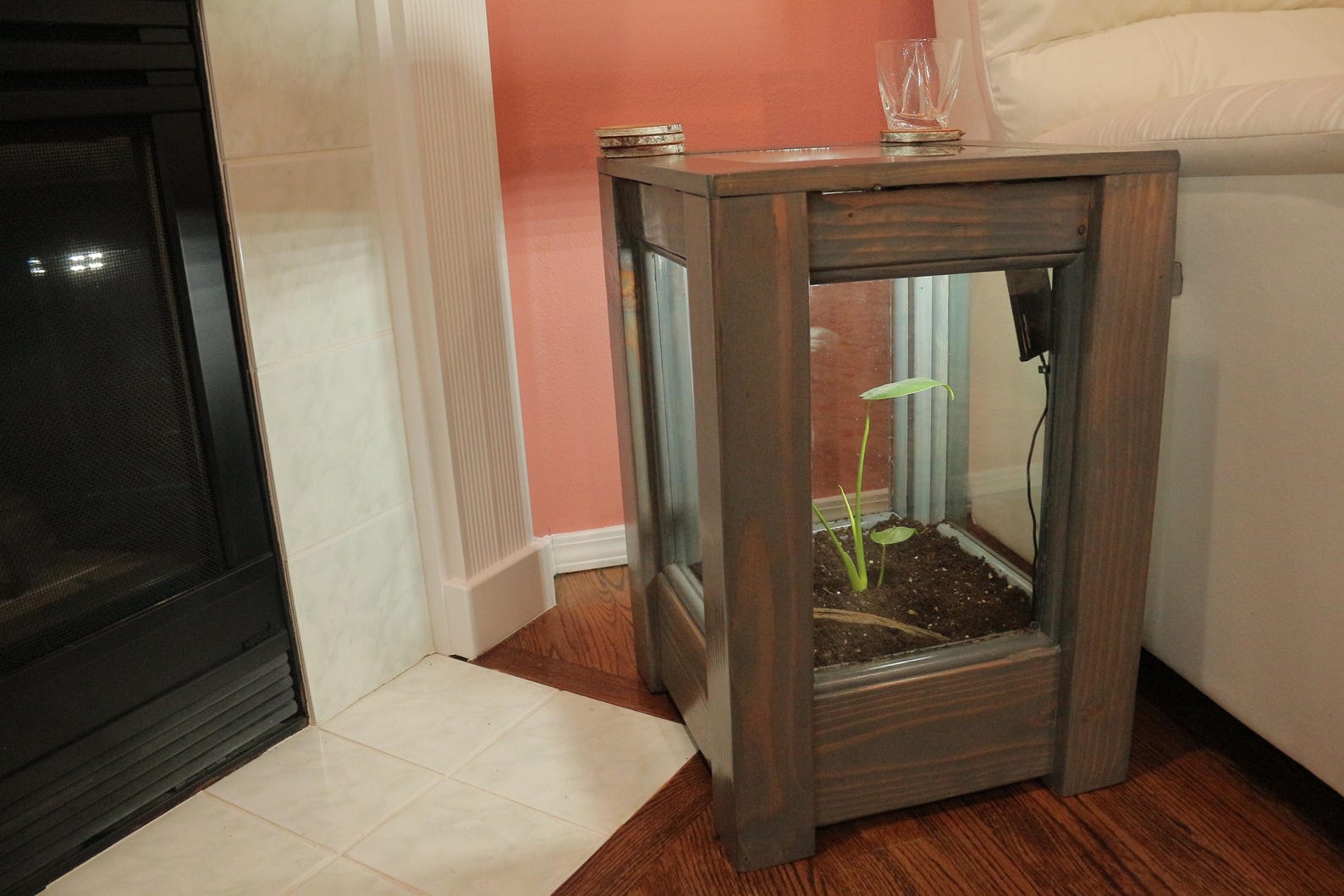 Terrarium End Table Display - Etsy