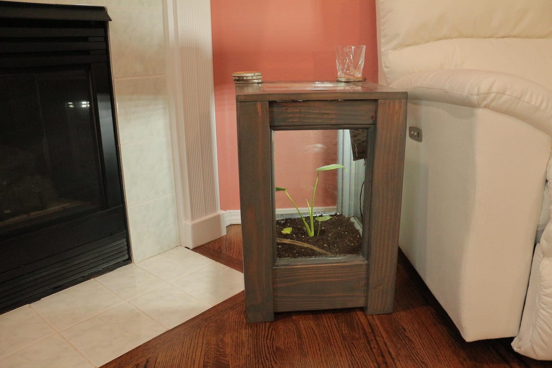 Terrarium End Table Display - Etsy