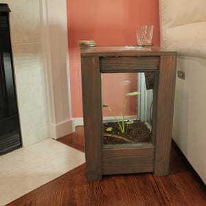 Terrarium End Table Display - Etsy