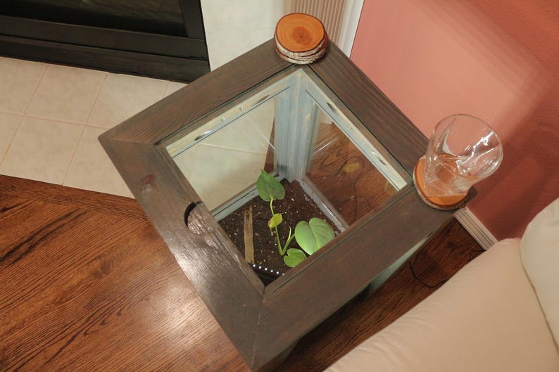 Terrarium End Table Display - Etsy