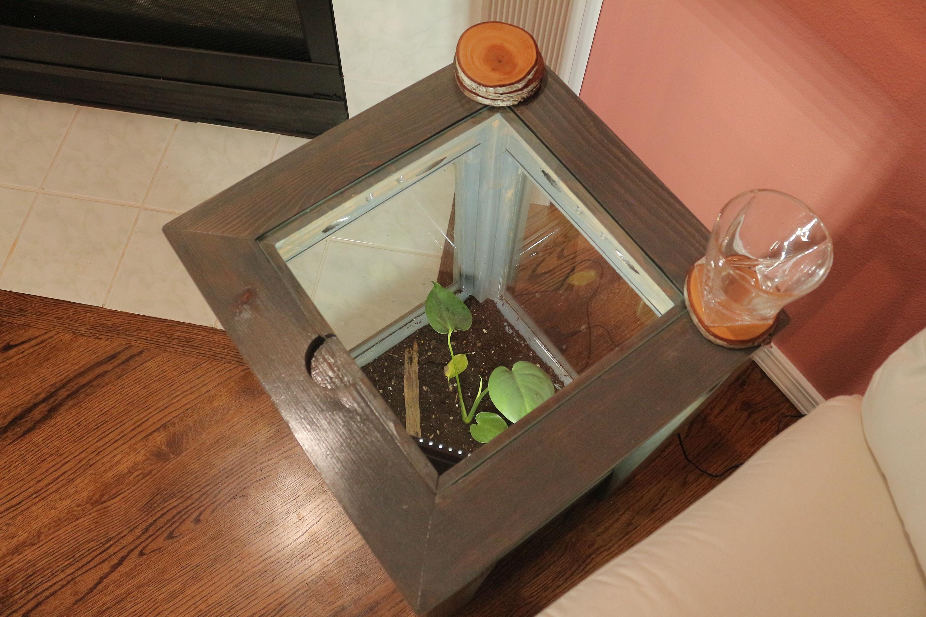 Terrarium End Table Display - Etsy