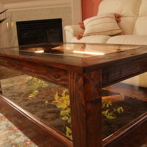 Terrarium Coffee Table - Etsy