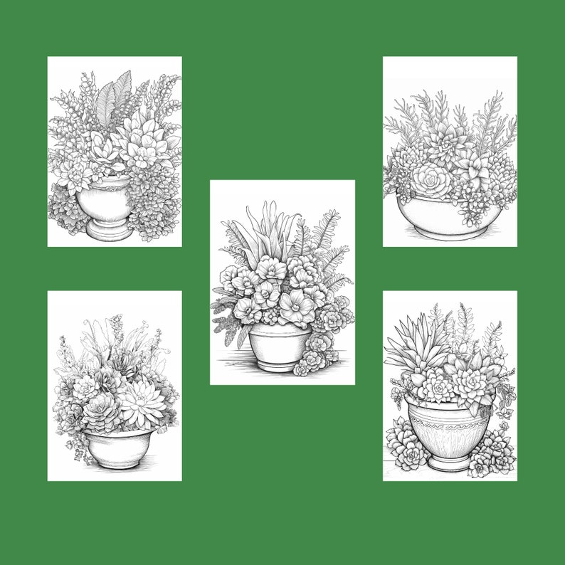 Succulents and Plants in Pots Coloring Pages, Succulents Coloring Book ...