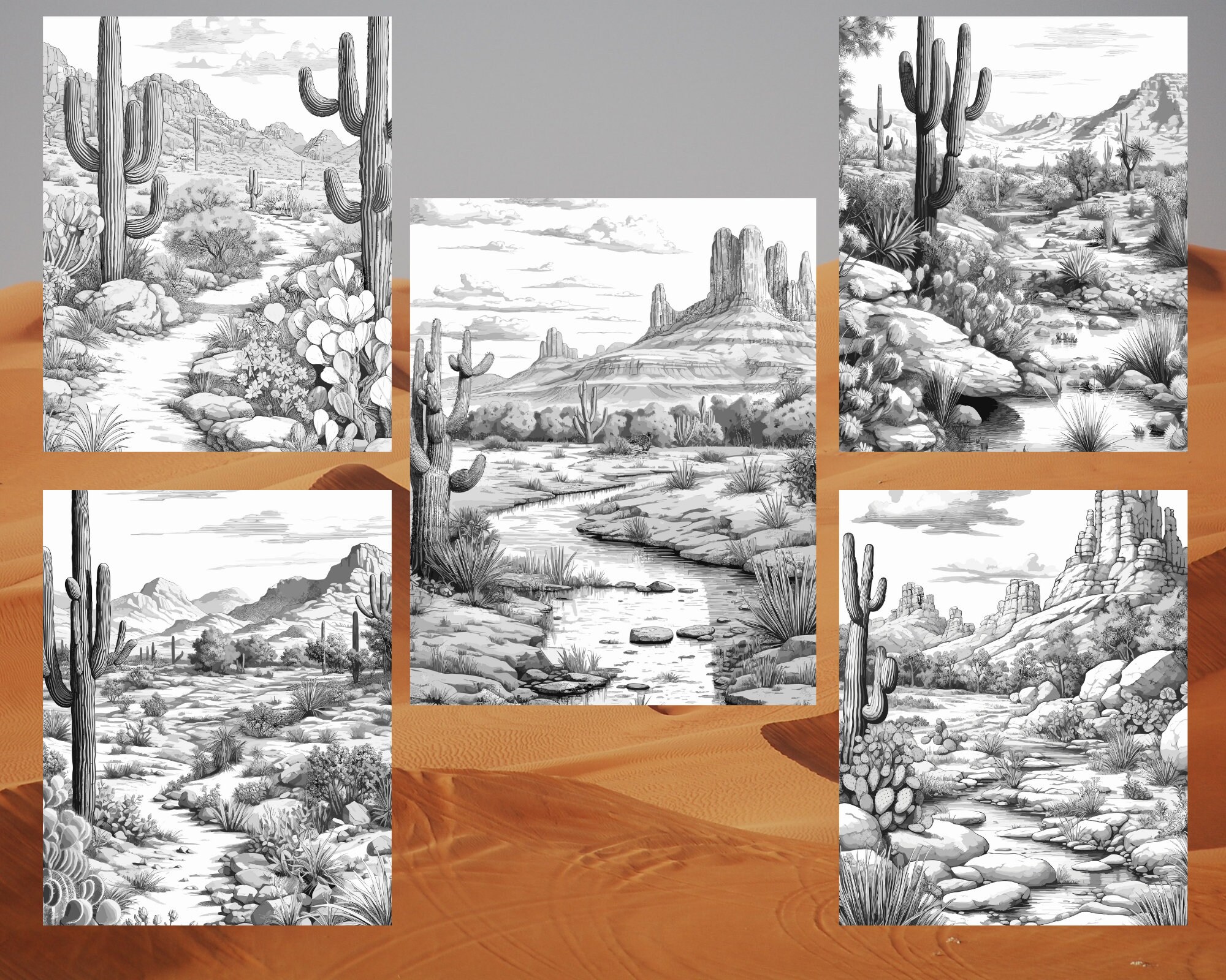 Desert Landscapes Coloring Pages, Desert Land Coloring Book for Adults ...