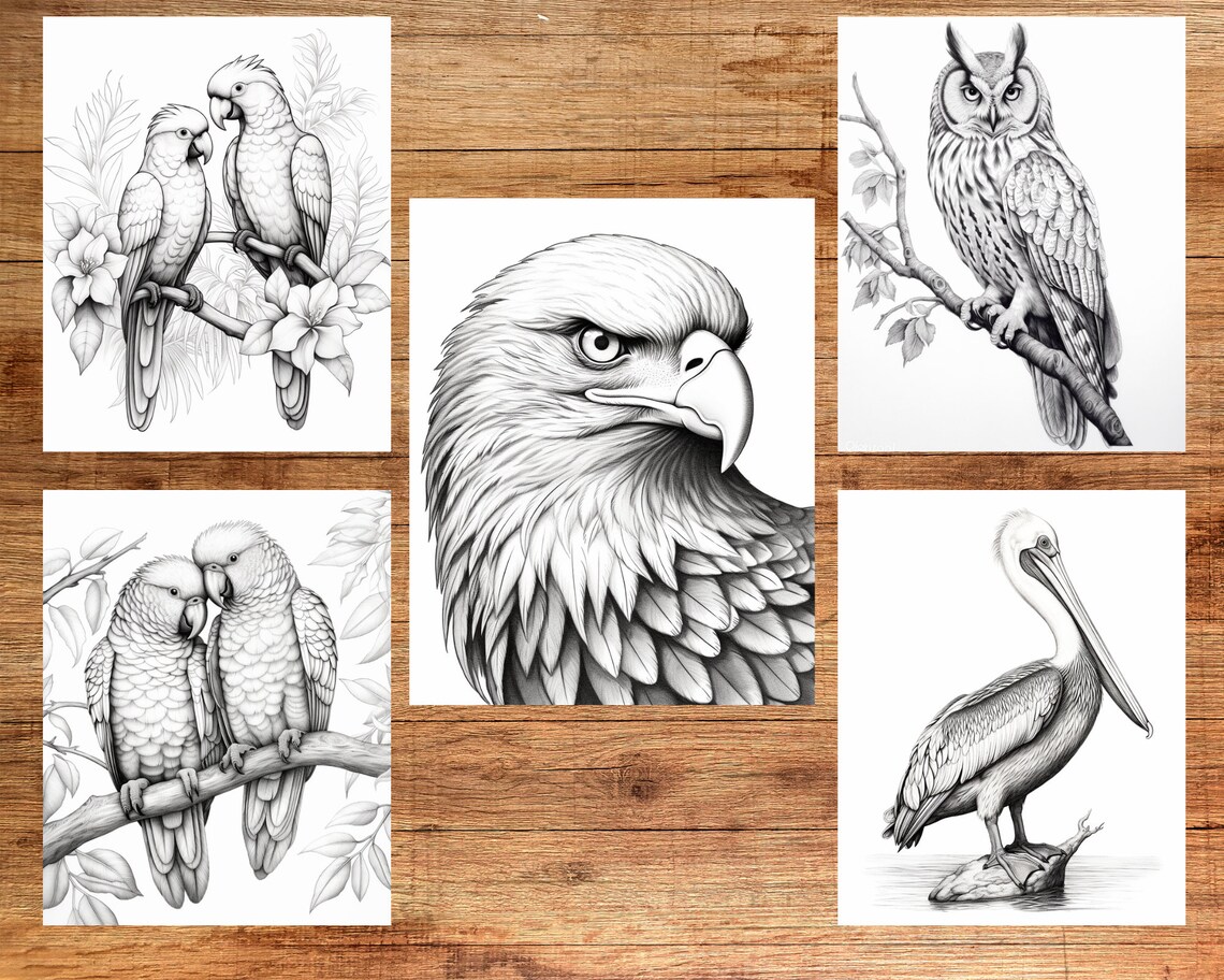 Realistic Birds Coloring Pages, Birds Coloring Book for Adults, Bird ...