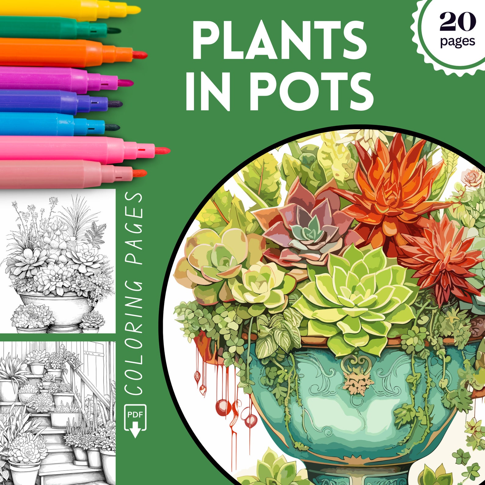 Succulents and Plants in Pots Coloring Pages, Succulents Coloring Book ...