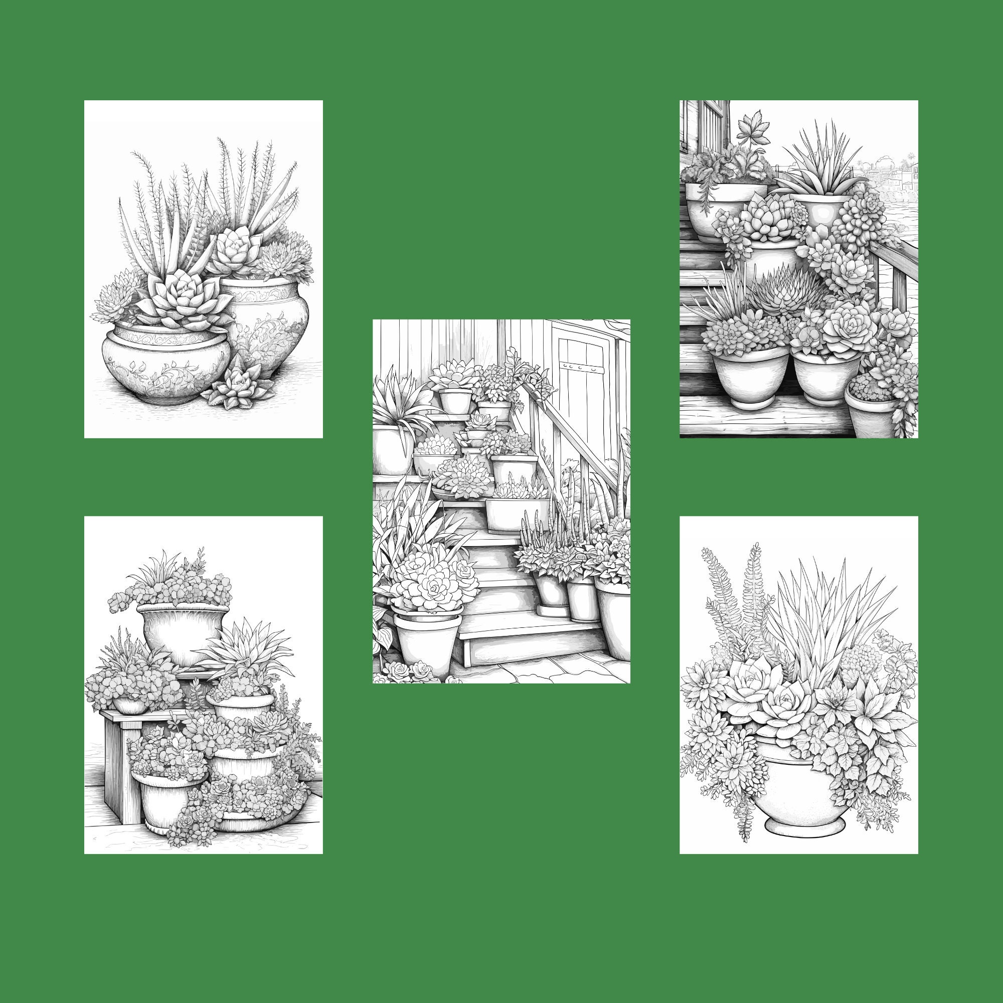 Succulents and Plants in Pots Coloring Pages, Succulents Coloring Book ...