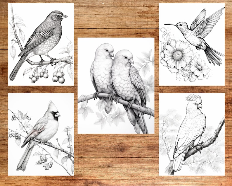 Realistic Birds Coloring Pages, Birds Coloring Book for Adults, Bird ...