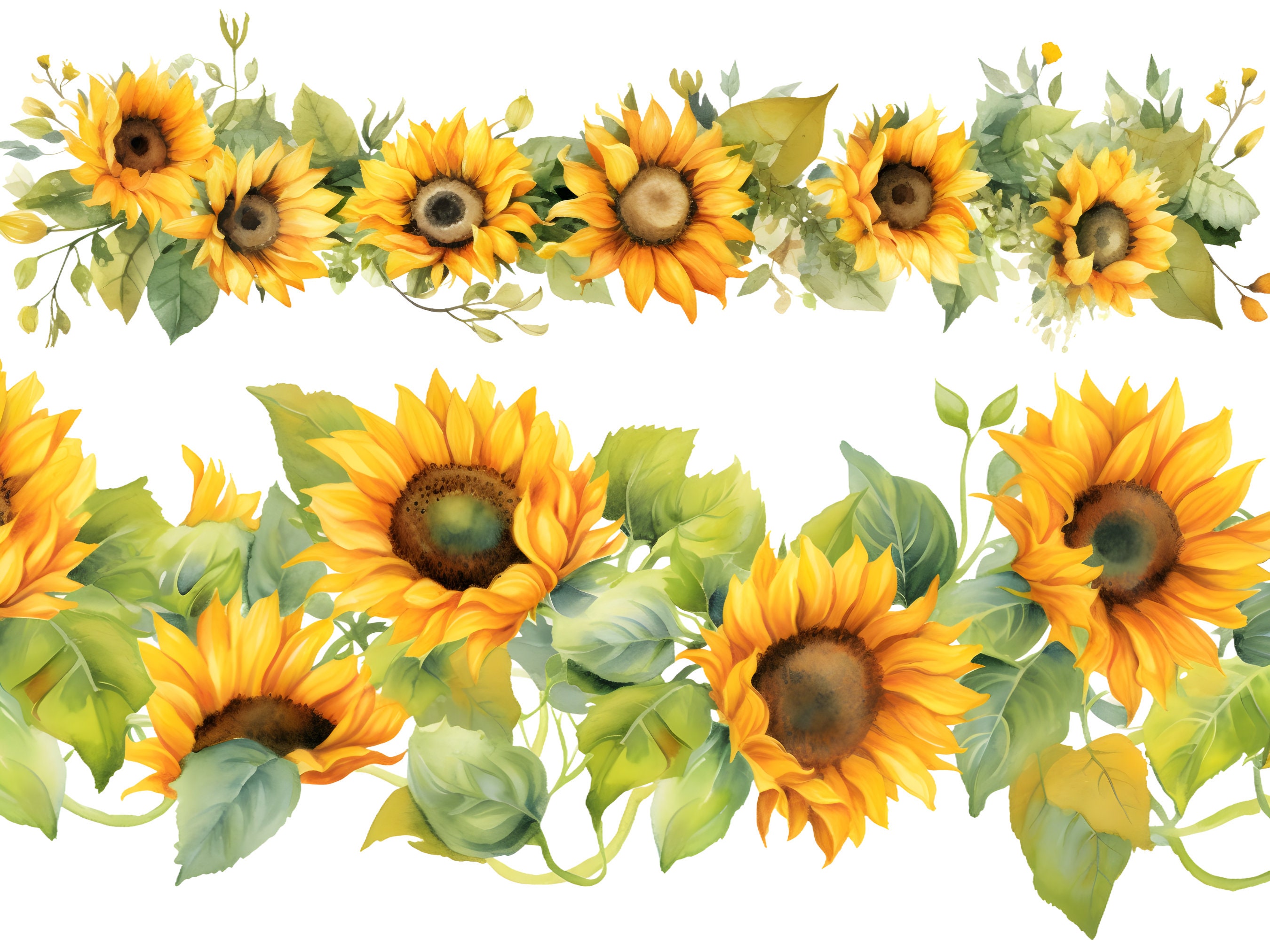 15 Watercolor Sunflower Clipart Borders Flower Clipart - Etsy