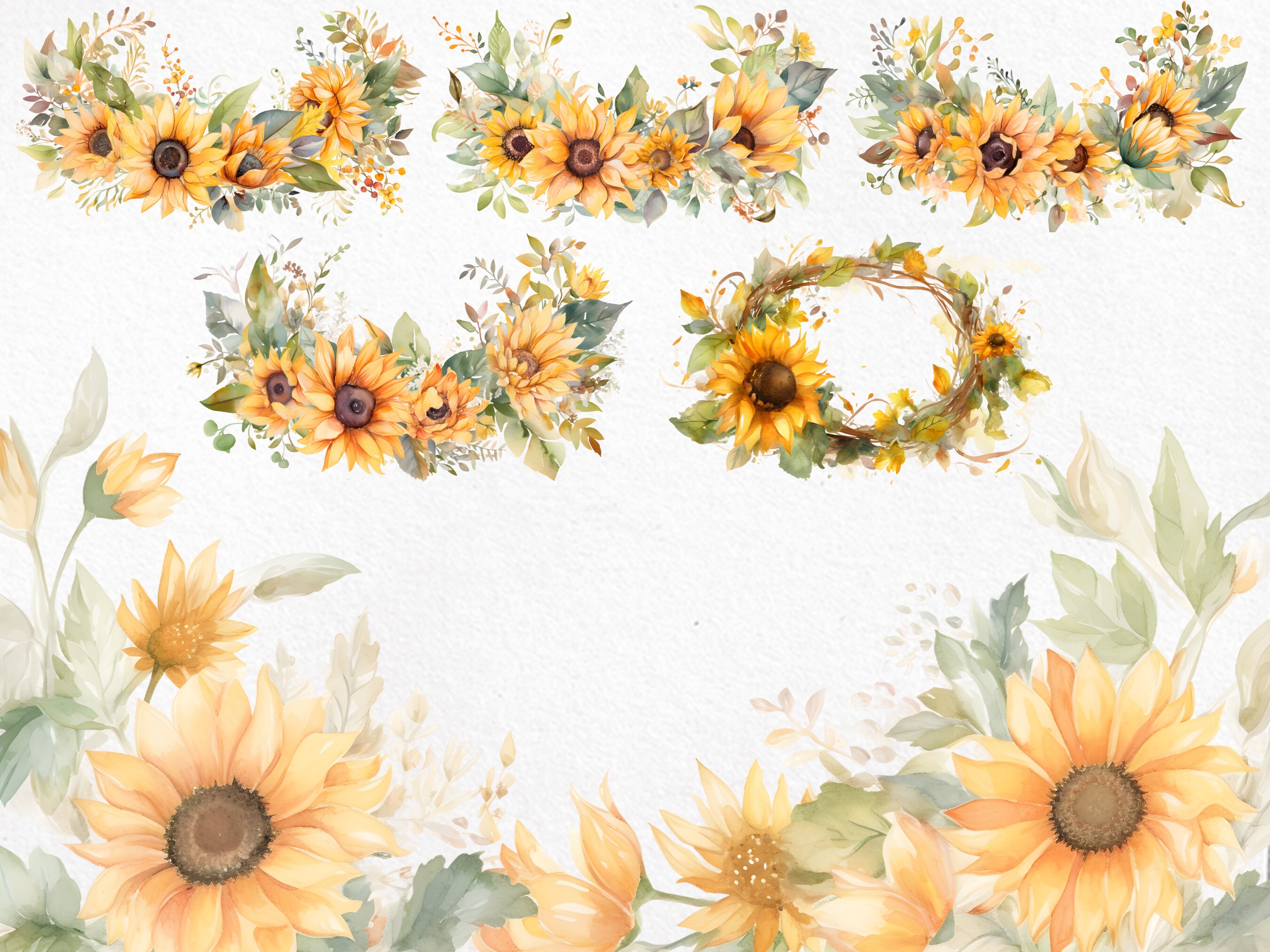 Watercolor Sunflower Clipart in PNG Format,for Commercial Use, Floral ...