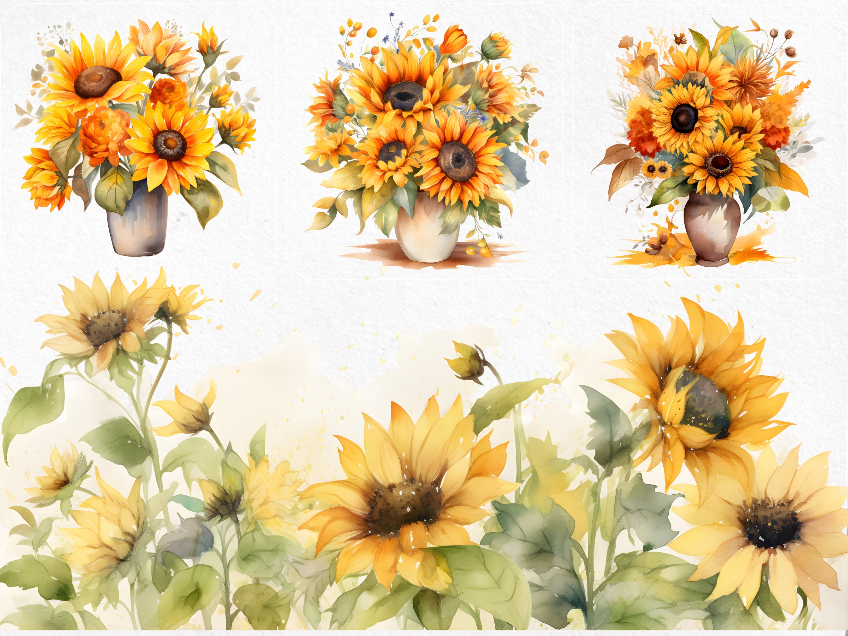 Watercolor Sunflower Clipart in PNG Format,for Commercial Use, Floral ...