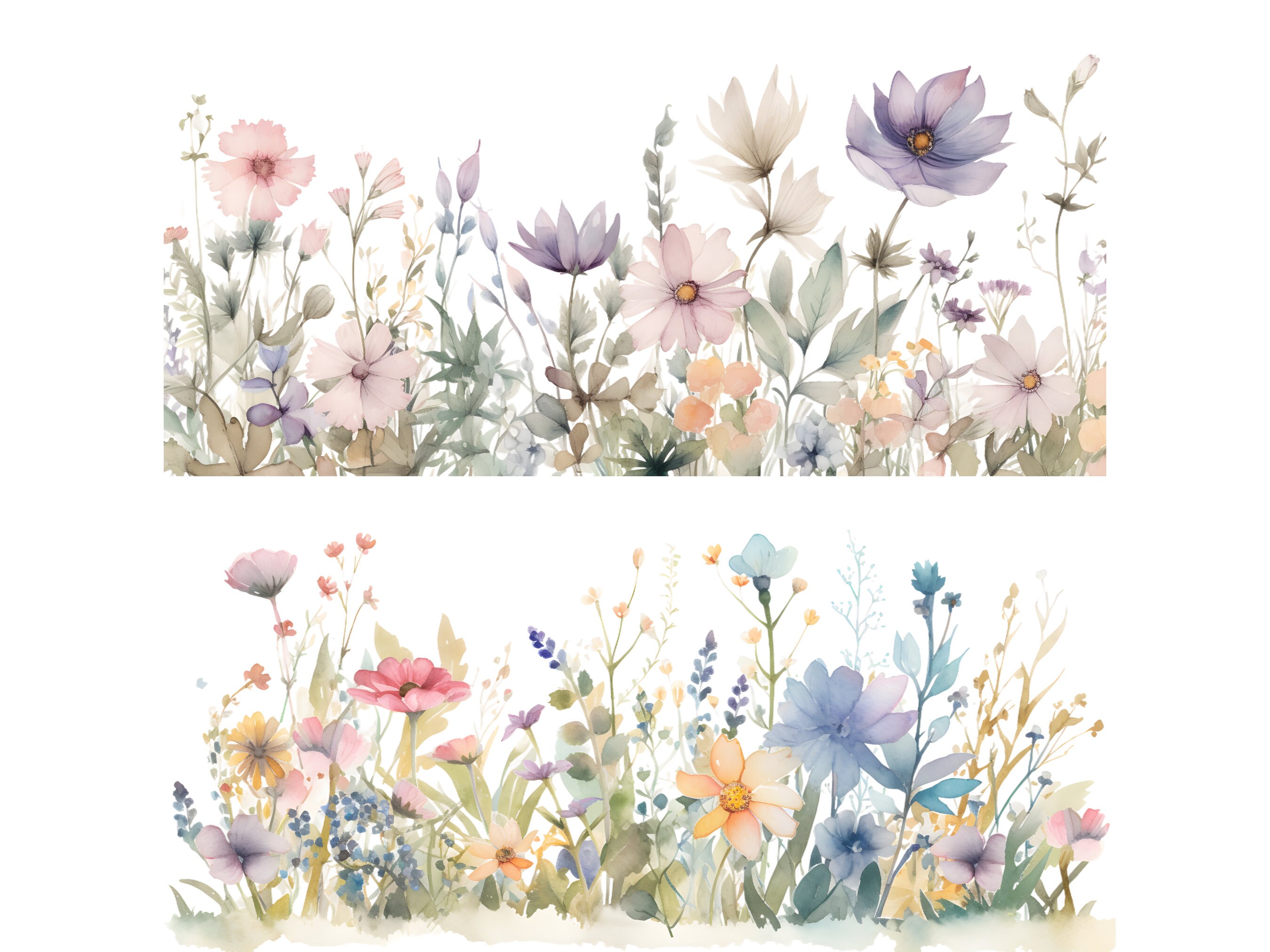 Watercolor Floral Borders Clipart, Floral Borders, Flower Clipart, PNG ...