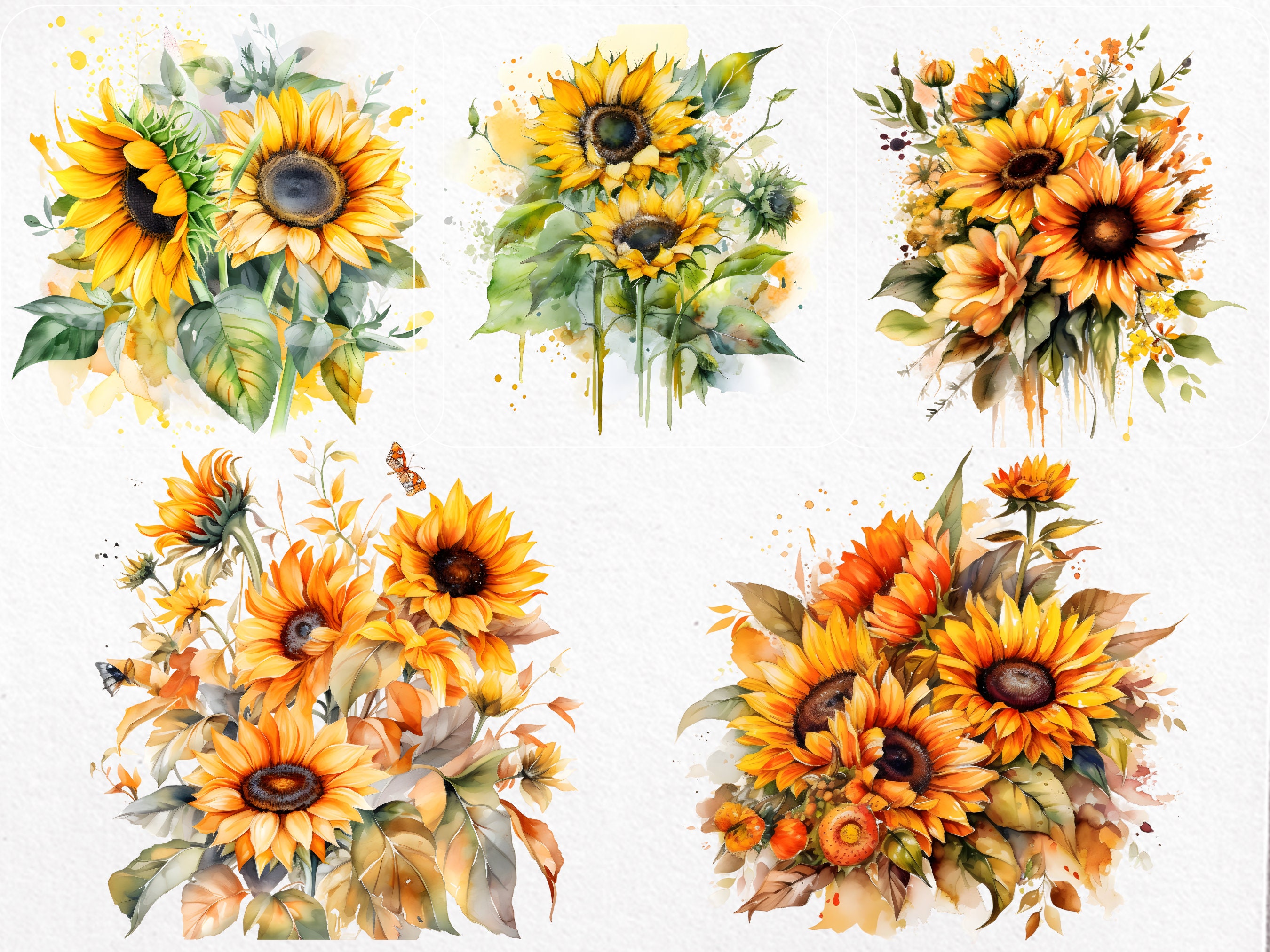 Watercolor Sunflower Clipart in PNG Format,for Commercial Use, Floral ...