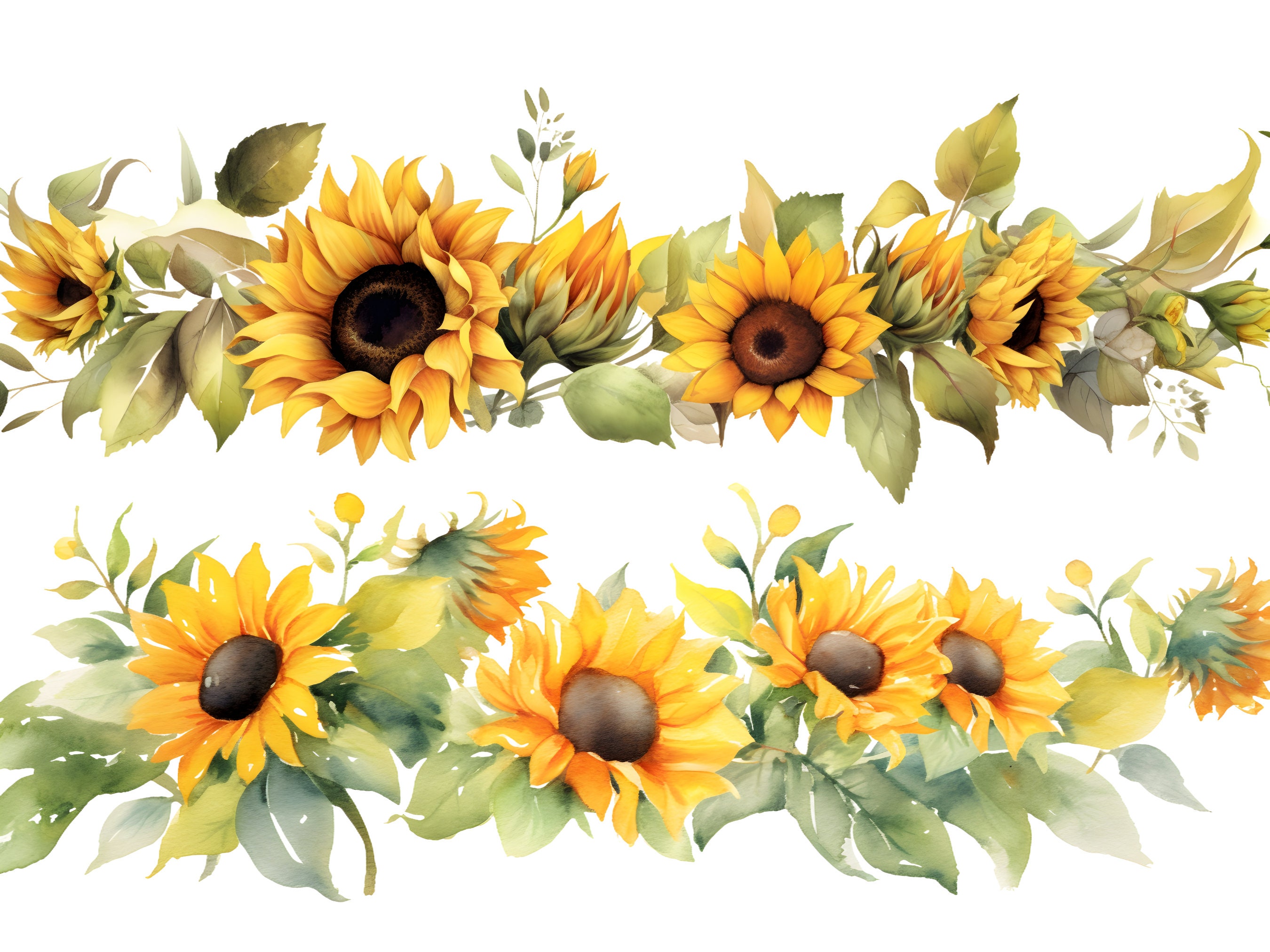 15 Watercolor Sunflower Clipart Borders, Flower Clipart, Commercial Use ...