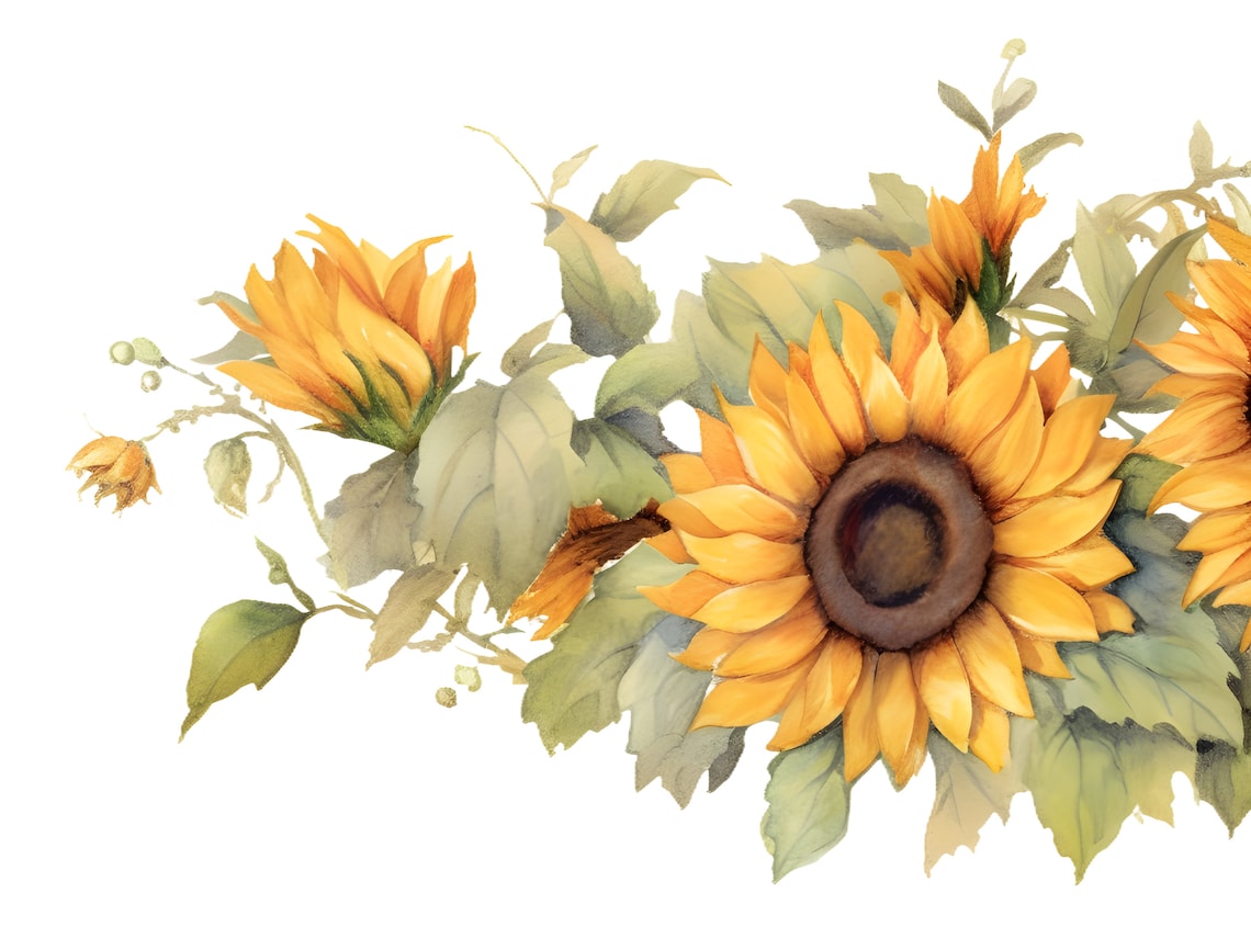 15 Watercolor Sunflower Clipart Borders Flower Clipart - Etsy