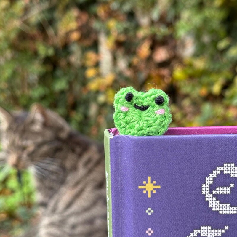 Aesthetic Frog Crochet - Etsy