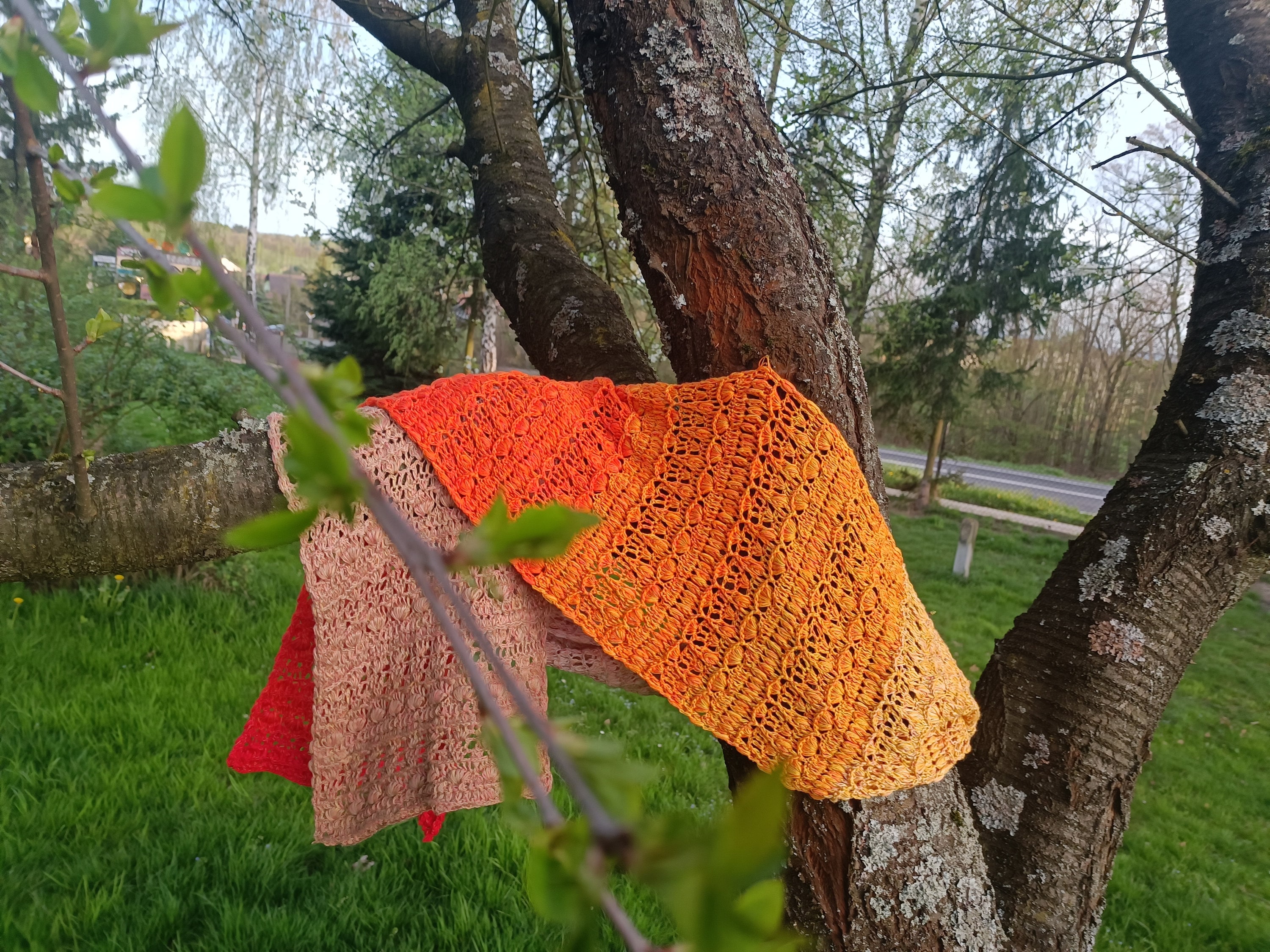 Baziakotka Shawl Pattern, Crochet Shawl Pattern, Crochet Pattern ...