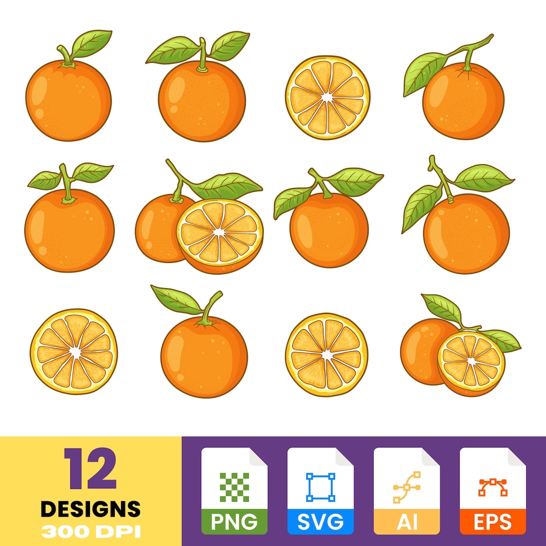 Hand-drawn Orange Fruit Clipart: Citrus Stickers, PNG & SVG (digital ...