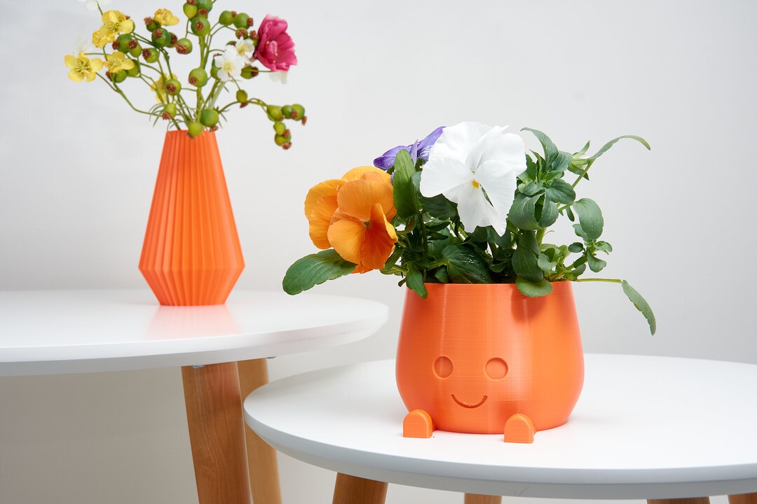 Happy Face Pot for Plants | Smiling Pot | Cute Funny Plant Pot ...