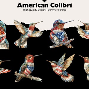 Patriotic Hummingbird Clipart Bundle, 4th July Colibri Watercolor ...