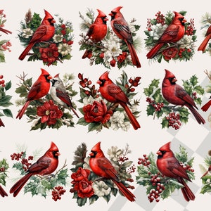 Christmas Red Cardinal Clipart Bundle, Winter Bird Watercolor, Two ...